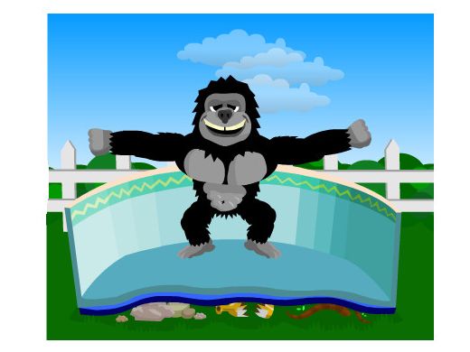 Gorilla Floor Padding 33' Round | NL131 | Pool Supply Unlimited
