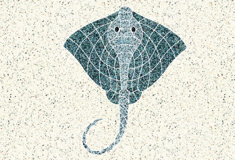 AquaStar Swim Designs Stingray Stencil Only | White | F1013-05