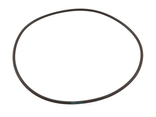 Waterco Strainer Lid O-Ring | 19B5051 | Pool Supply Unlimited