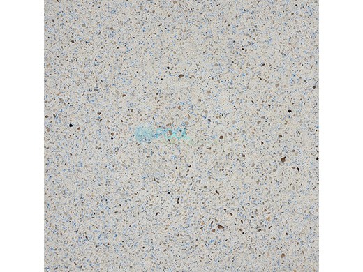 C.L. Industries SunStone Select Quartz Stain-Resistant Pool Finish | 80 ...