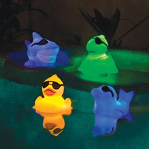 Light Up Floating Ducky Racers | 3576 | Pool Supply Unlimited