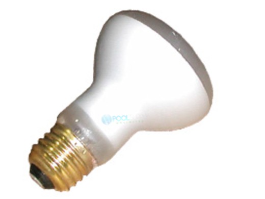 Halco R20 Short Spa Flood Incandescent Lamp | 100W 125V | HP20NFL39/HX ...