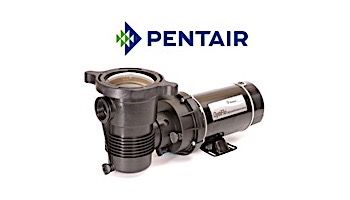 Pentair OptiFlo 1HP Horizontal Above Ground Pool Pump with 3' Standard ...