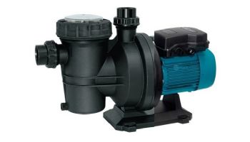 ESPA SilenPlus Variable Speed Above Ground Pool Pump | 1 HP Max | 115 ...