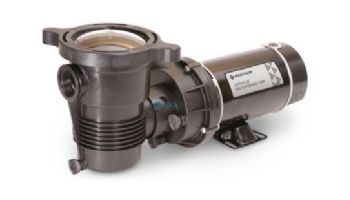 Pentair OptiFlo 1HP Above Ground 2-Speed Pool Pump with 3' Cord 115V ...