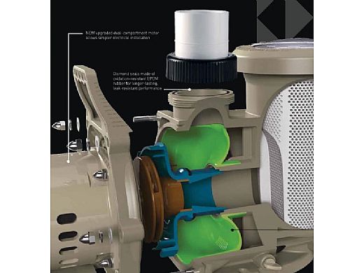 Pentair WhisperFloXF 3HP Premium Efficiency 3-Phase Pool Pump with ...