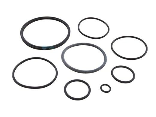 Zodiac Nature2 Fusion O-Ring Kit | R0502500 | Pool Supply Unlimited