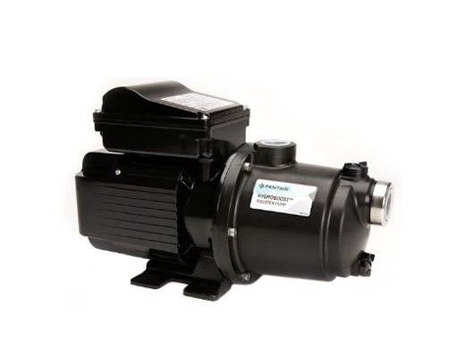 Pentair HydroBoost Booster Pump | 115/230V 0.8 THP | 360526 | Pool ...