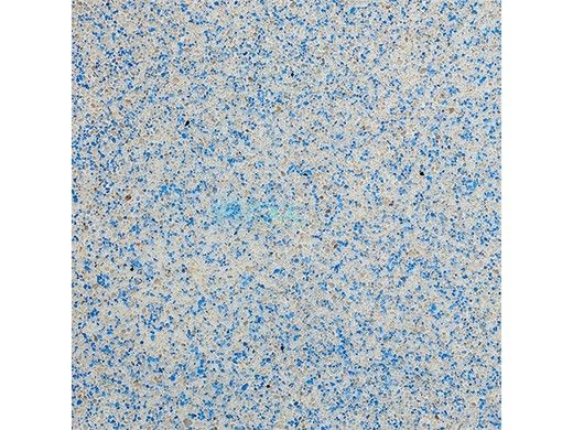 C.L. Industries SunStone Quartz Stain-Resistant Pool Finish | 80 Lb ...