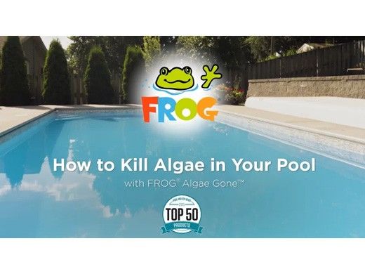 King Technology FROG Algae Gone | Up to 30,000 | 01-10-6860 | Pool ...