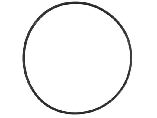 Waterco Body O-Ring for Aqueduct Pump | 635028 | Pool Supply Unlimited