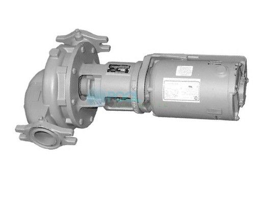 Raypak Pump And Motor Assembly | Fixed-Speed Pump | Stainless Steel ...