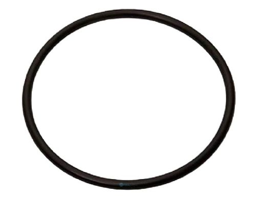 FX Luminaire Top Assembly O-Ring | 18 x 1 BN70 | 250010280001 | Pool ...