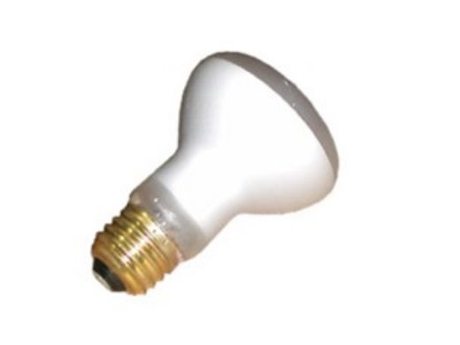 Halco R20 Short Spa Flood Incandescent Lamp | 100W 125V | HP20NFL39/HX ...