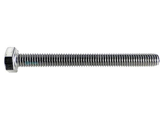 Fluidra Sight Glass Bolt | 70101R06060 | Pool Supply Unlimited